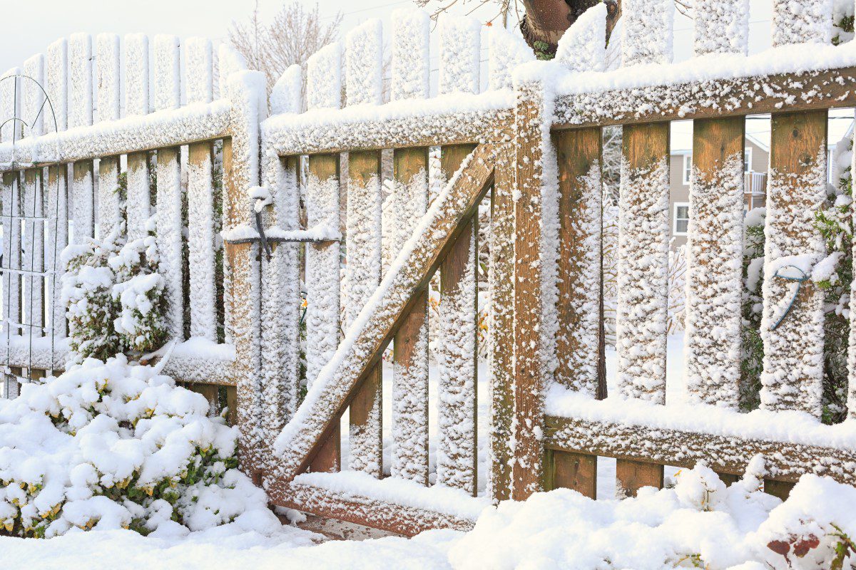 Ensuring Cedar Fencing Is Prepped For Winter